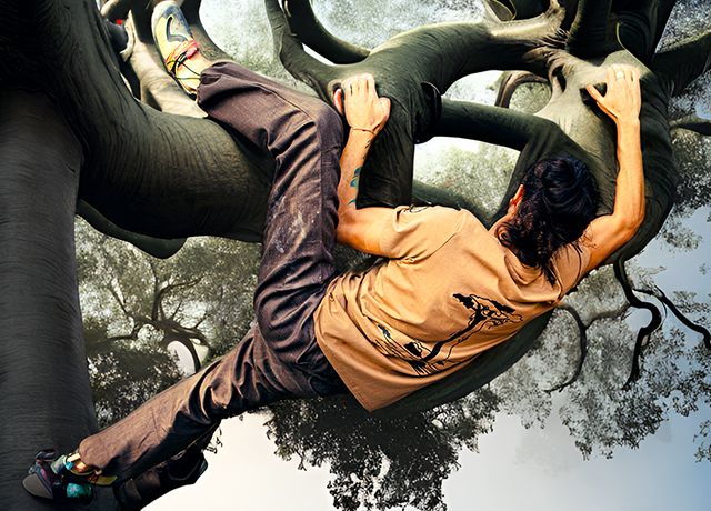 Collection ⋆ MONVIC